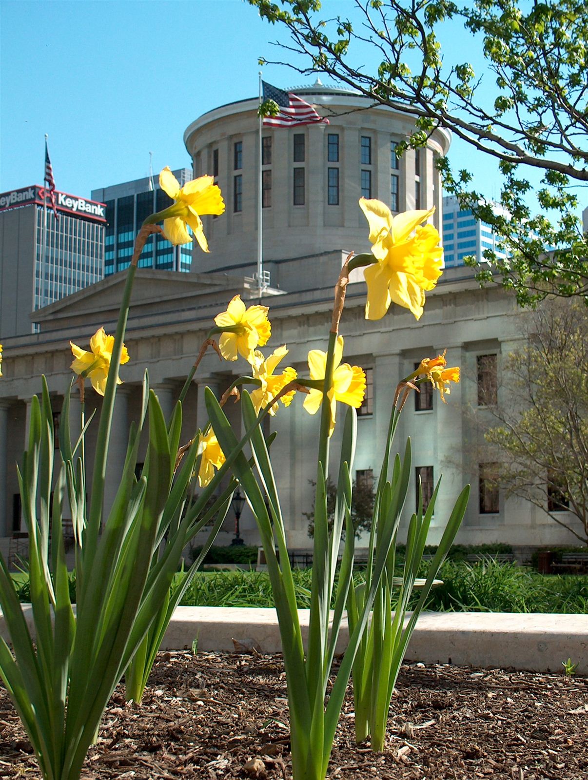 Locations Hub - Ohio Statehouse